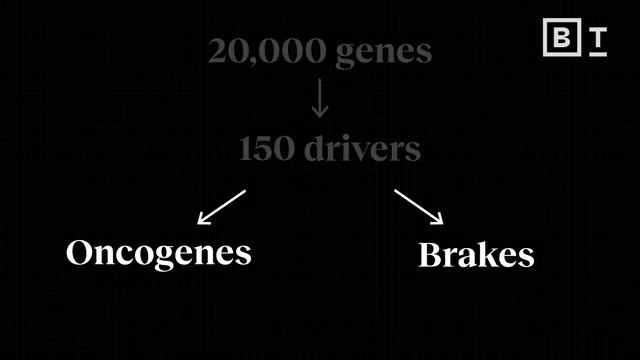 How evolution works in 54 minutes Sean B Carroll Full Interview