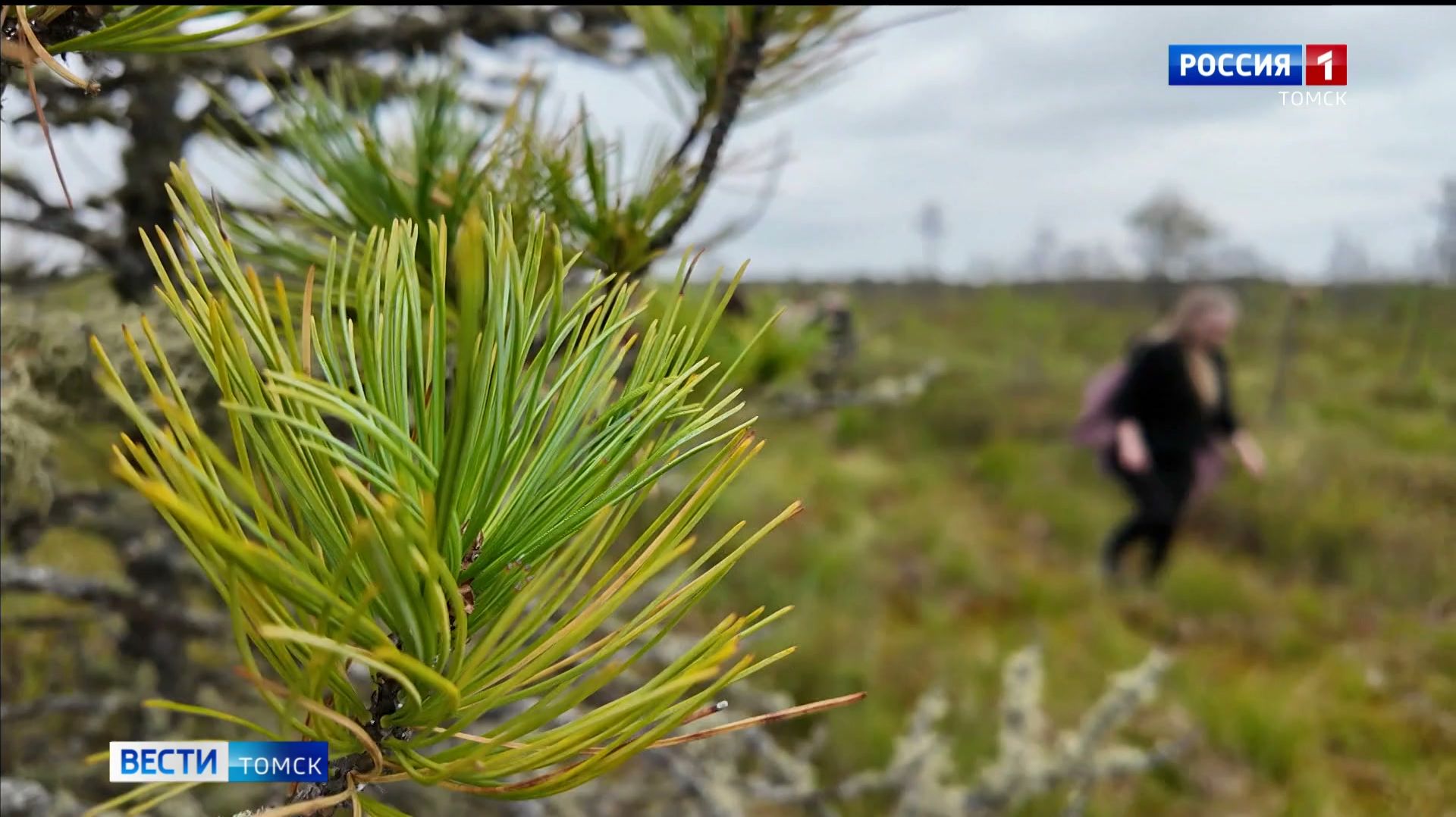 Вести-Томск, выпуск от 09.04.2026 11:30