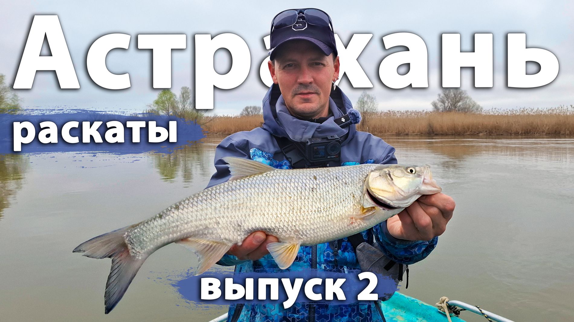 Ловля астраханского жереха. Рыбалка на раскатах Волги. Запретная вобла рвётся на крючок!
