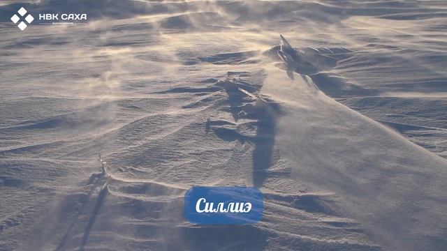 Айылҕа тыллара Языковые ролики