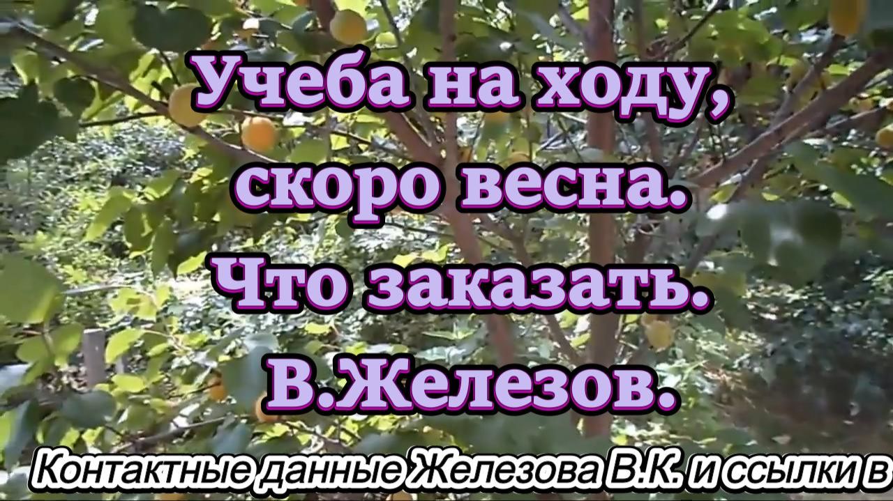 Учеба на ходу, скоро весна. Что заказать. В.Железов.