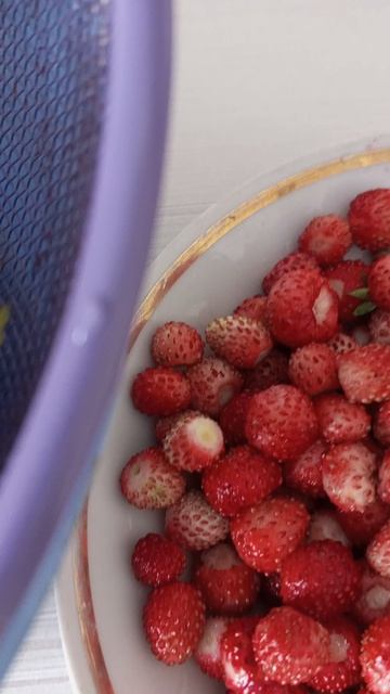 Лесная земляника и садовая клубника!