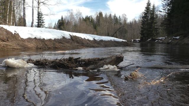 Водный поход по Белой Тверской 1-2 апреля 2026