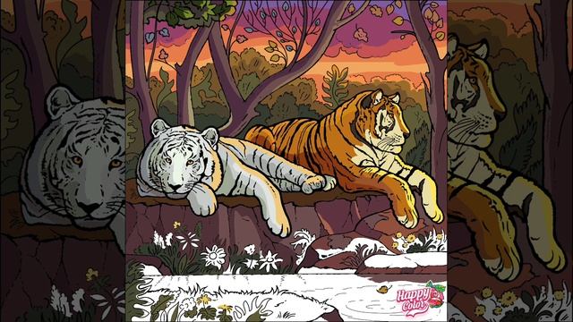 Бонус 2521-2530