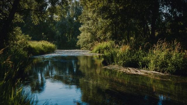 Весна зелёная