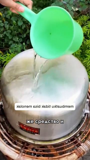 Лучшие находки! ✨