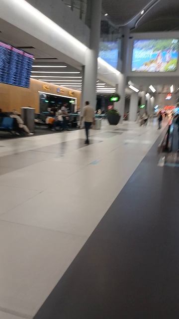 Аэропорт Стамбул (на посадку) - Istanbul Airport (boarding gate).mp4