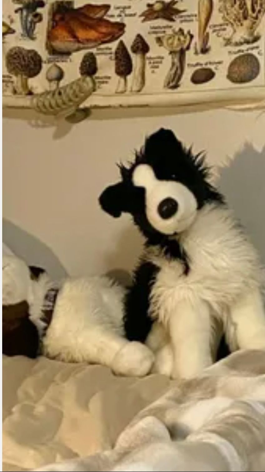 Мои любимые каналы, Эдит