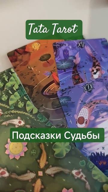 Подсказки Судьбы для Вас 🔥 #таро #эзотерика #предсказание #tarot #онлайнтаро #тароонлайн
