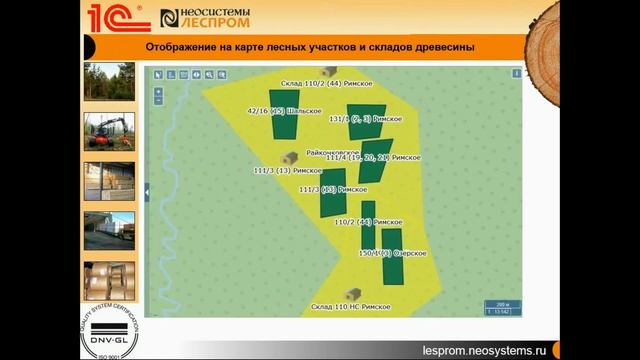 1С ГИС для управления лесным фондом и лесозаготовкой