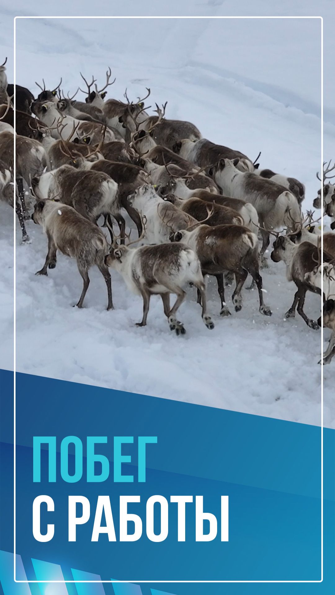 Побег с работы