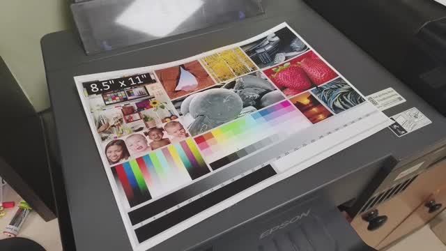Тест на выцветание фотографий Epson