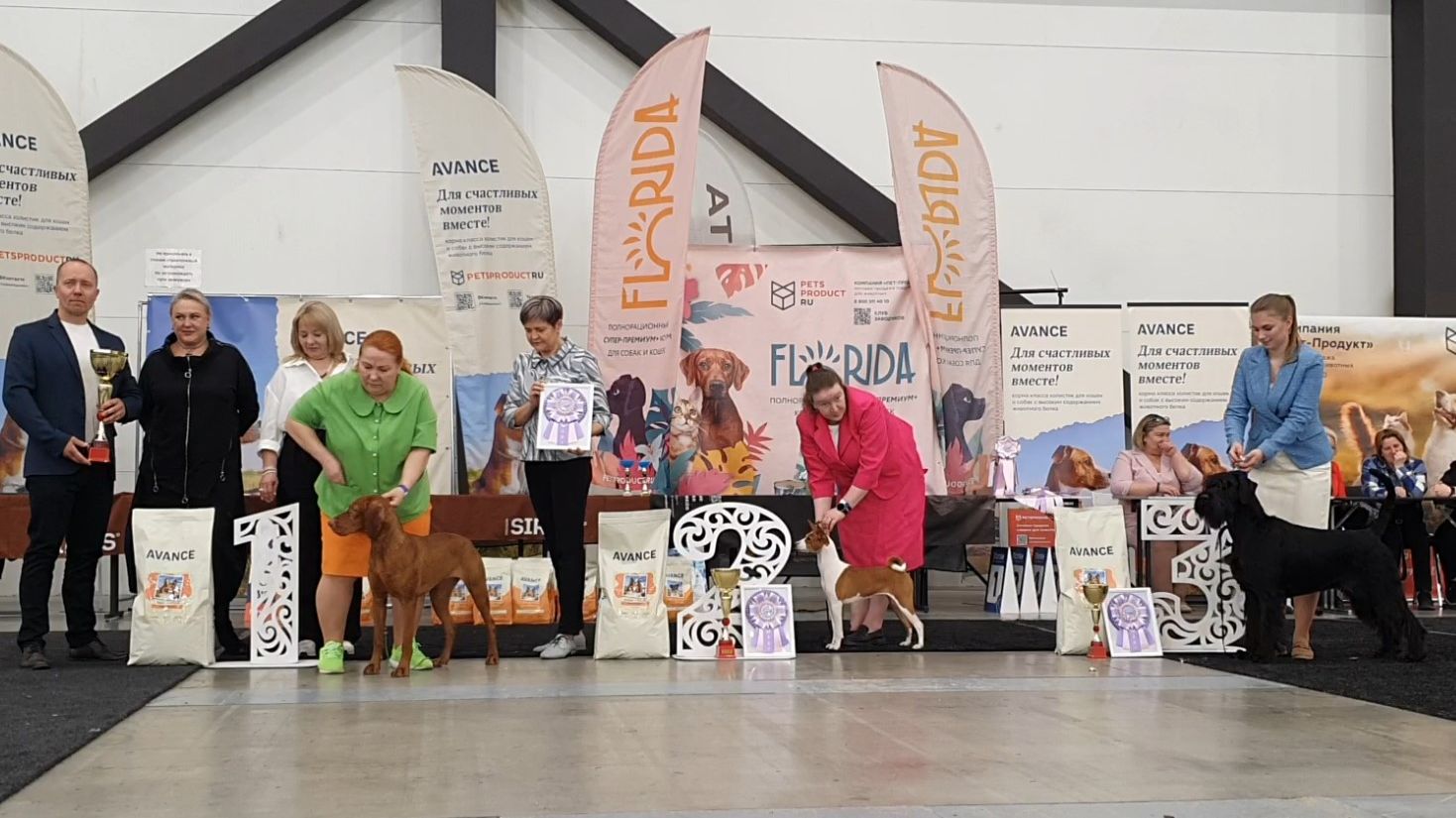 29.03.2026, СПб. Клуб "СИРИУС-2" (РКФ, РФОС). Выставка собак всех пород "ПУШКИНСКАЯ ЛИРА" (CAC, ЧФ)