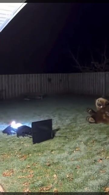 Видеонаблюдение 📺 и охрана ⚔️ под ключ 😎😅👍 #advizors