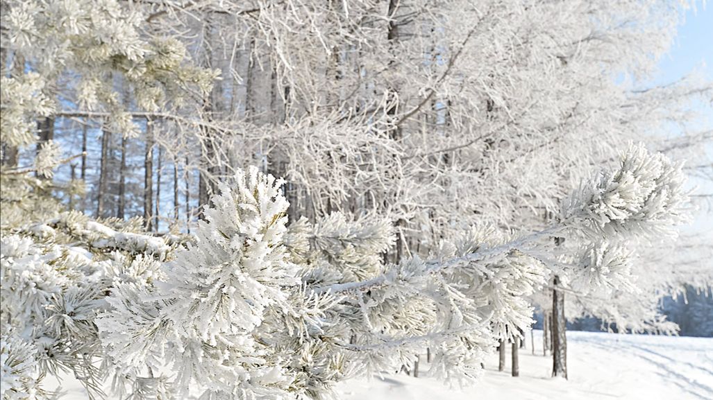ВАЛЕРИЙ БРЮСОВ "ПЕРВЫЙ СНЕГ"