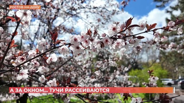 А за окном. 10 апреля 2026