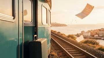 Багаж V55_1_003