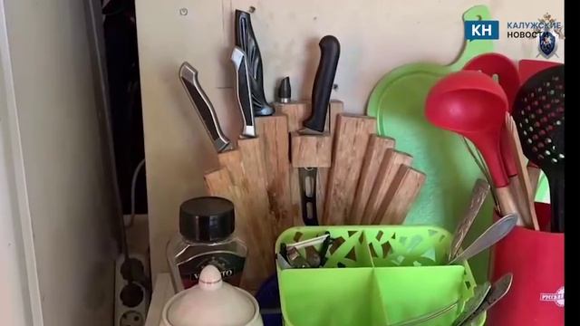 Жительница Калуги арестована за попытку убийства сожителя во время ссоры