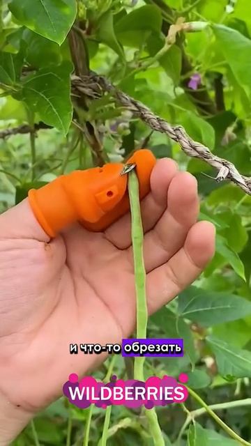 Лучшие находки! ✨