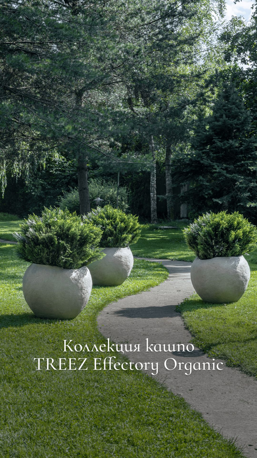 Organic: эстетика природных форм