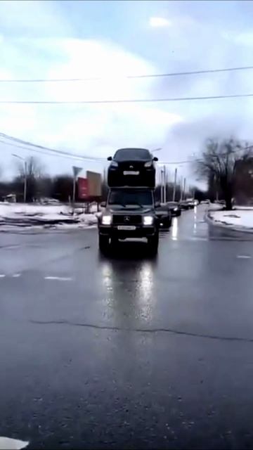 Мерин тащит