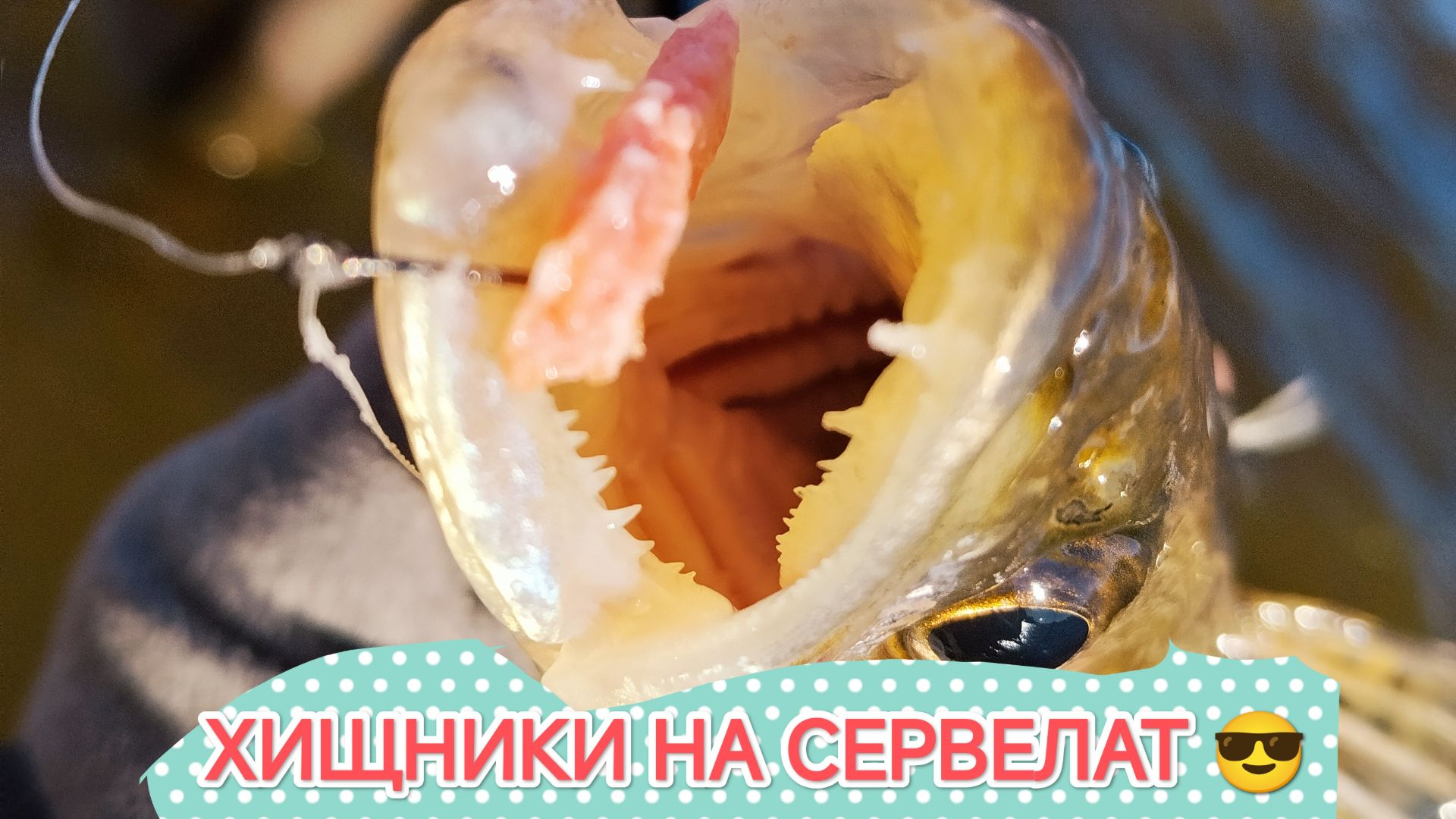 РЫБАЛКА НА ХИЩНИКА С КОЛБАСОЙ😁😁😁 #СПИННИНГ