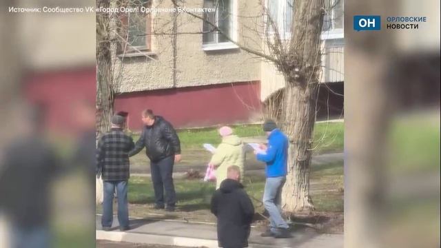 Стало известно, как проходит «оценка» аварийности деревьев