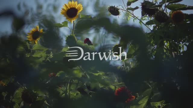 Darwish @ Ozora Festival 2024 (Psychedelic Trance DJ Mix)