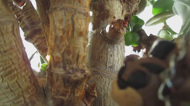 Про Экватор!