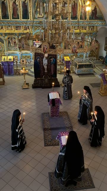 Днесь висит на Древе…