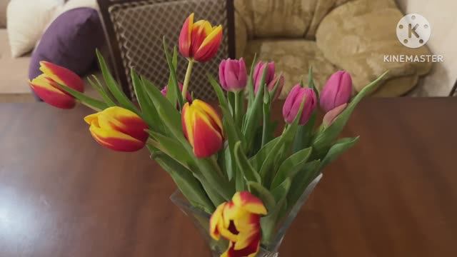 Подарки к 8 марта! Новые сумки. Тюльпаны! 7.03.2026