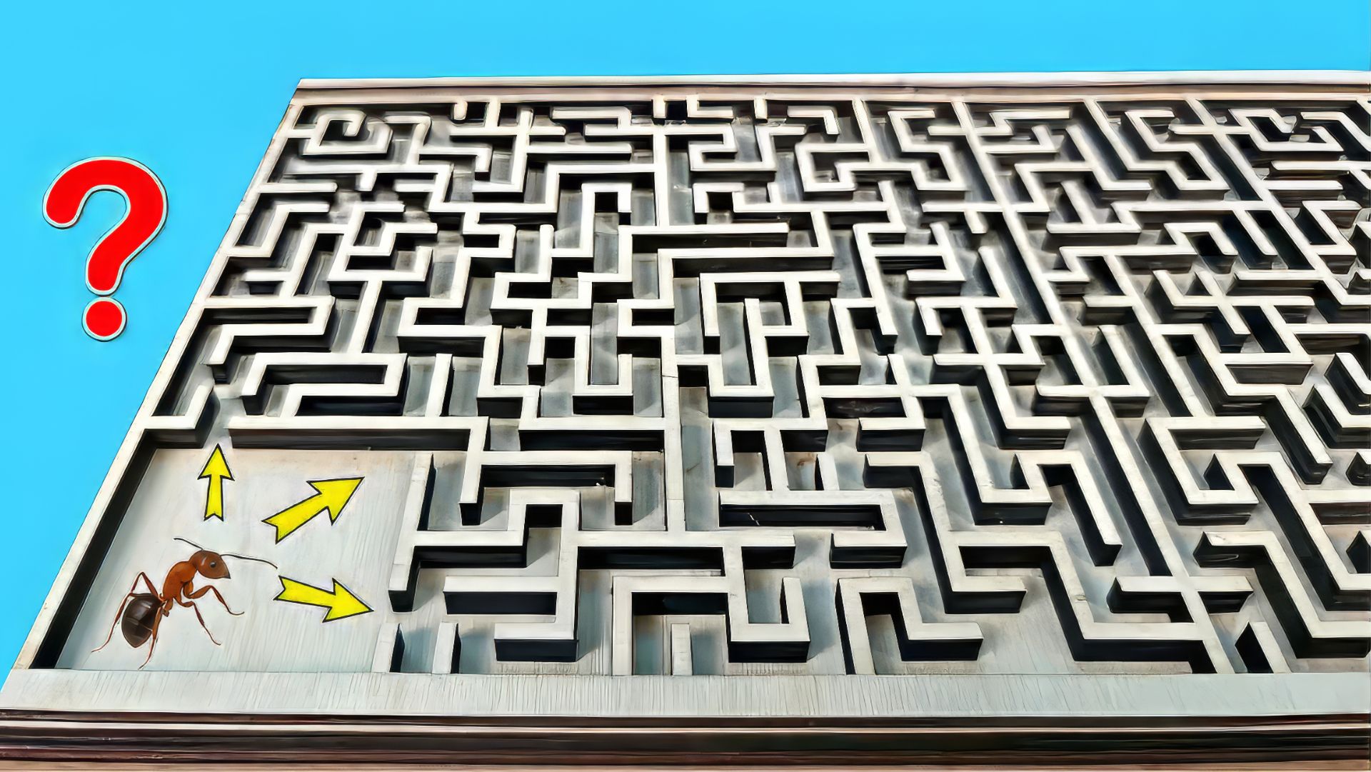 Найдет ли Муравей выход из сложного Лабиринта?