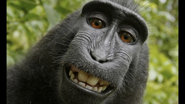 вот от ии  подарок вам