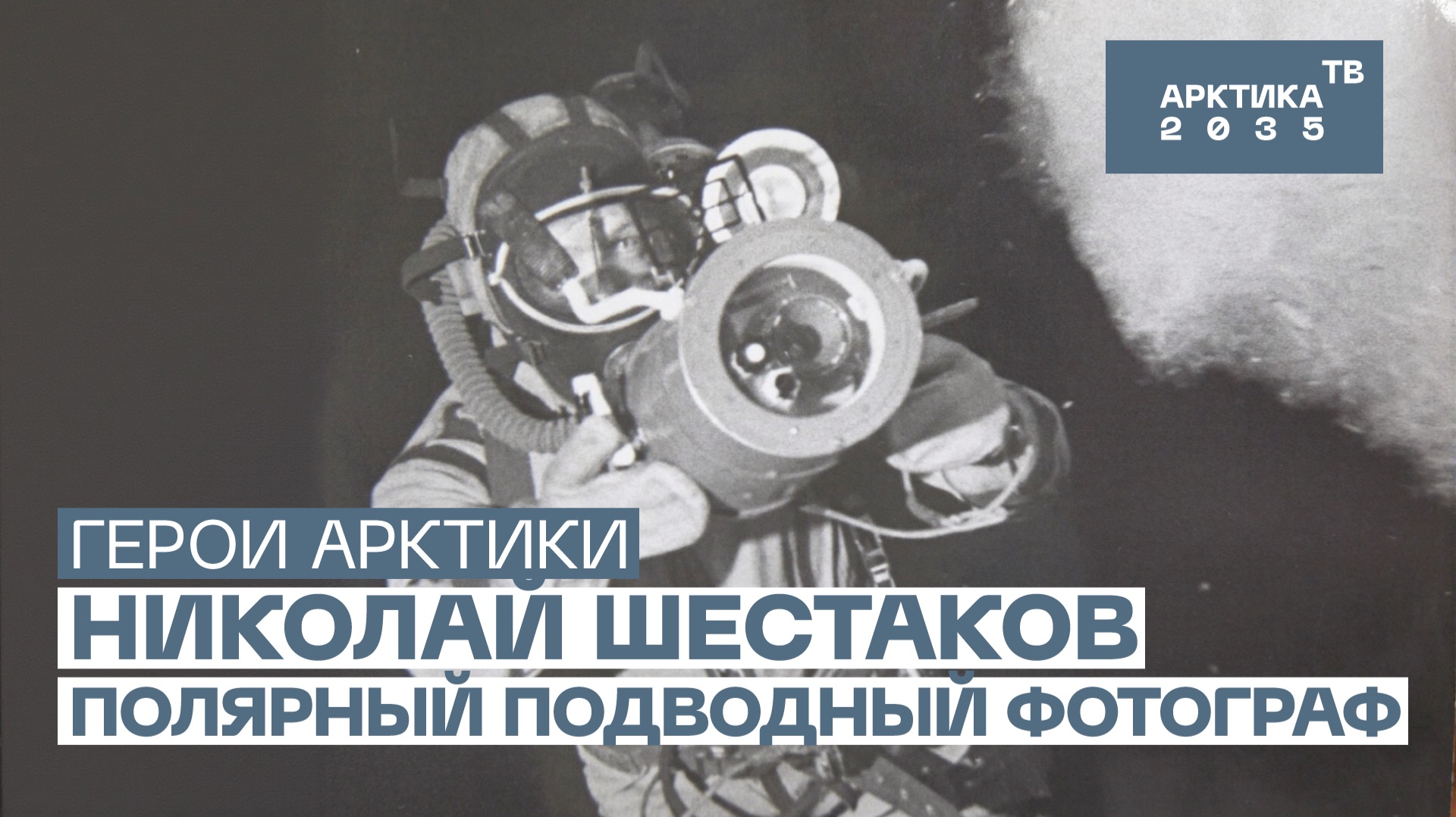 Полярный подводный фотограф Николай Шестаков // «Герои Арктики»