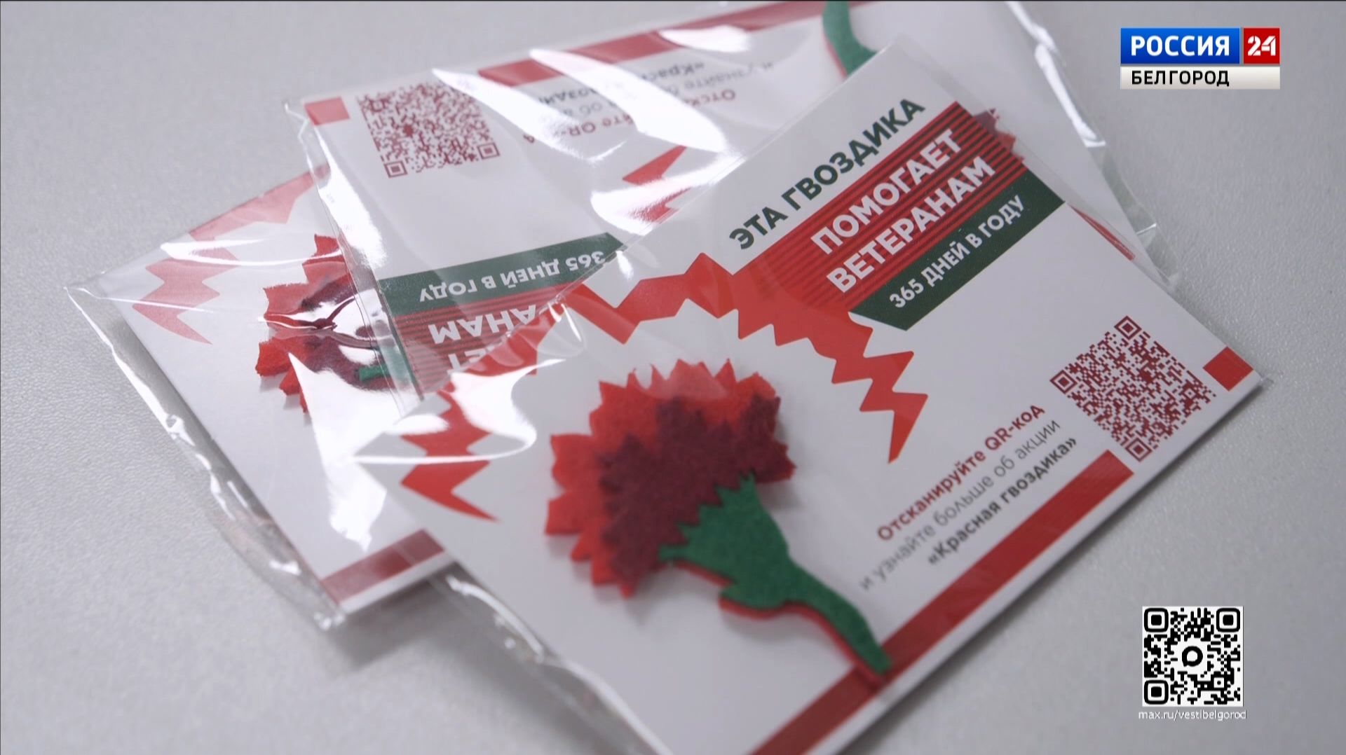 Стартовала Всероссийская акция "Красная гвоздика" благотворительного фонда "Память поколений"