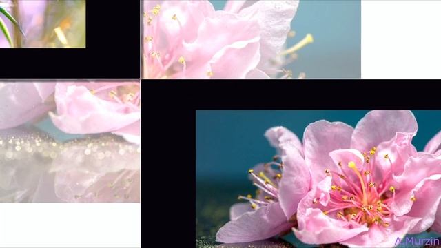 Amure - Lullaby (Winter)