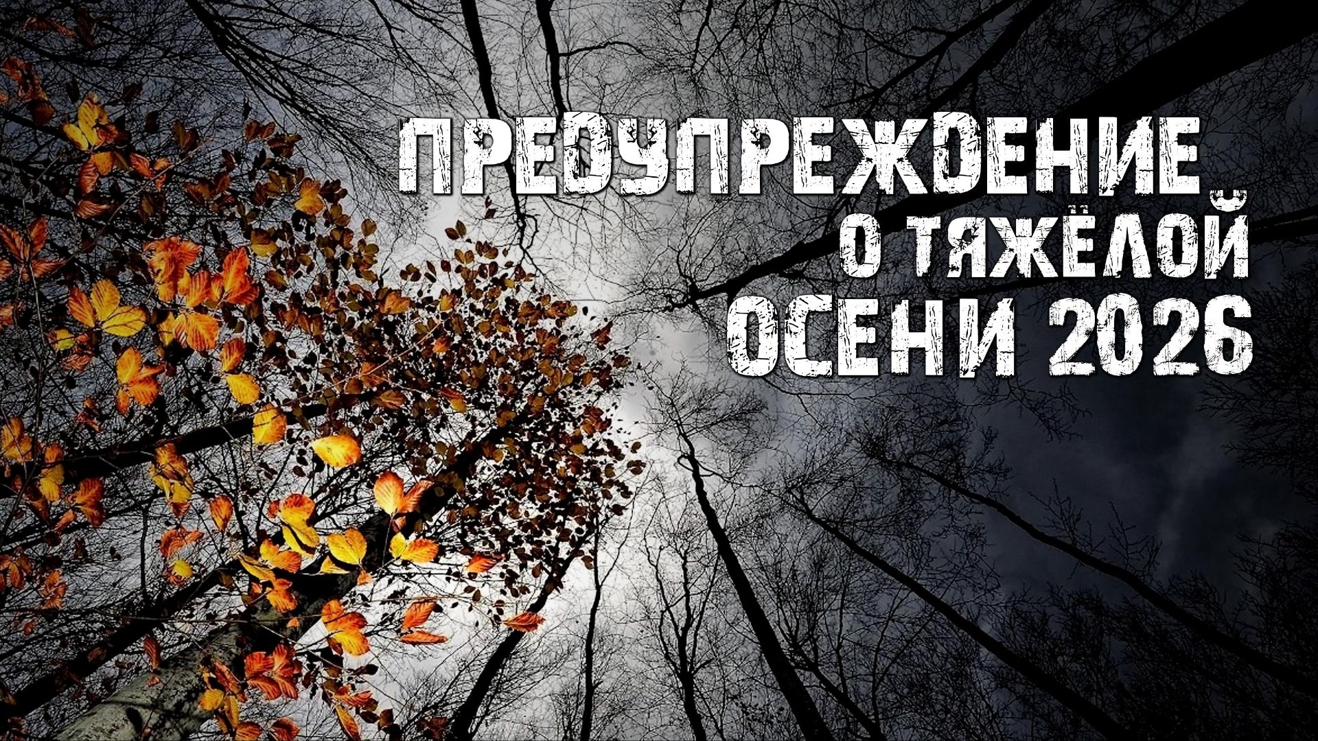 Предупреждение о тяжелой осени 2026 года!