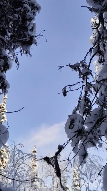 В гостях у сказки.