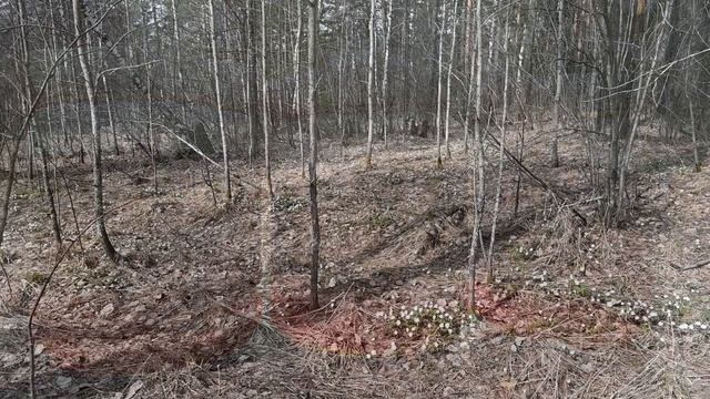 Александровская сопка.