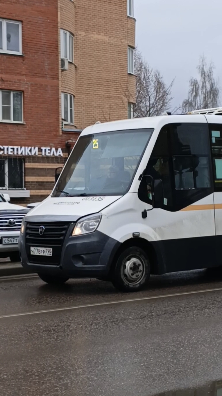 Газель Луидор Некст на 25 маршруте.