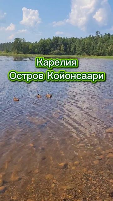 shorts Карелия 2025