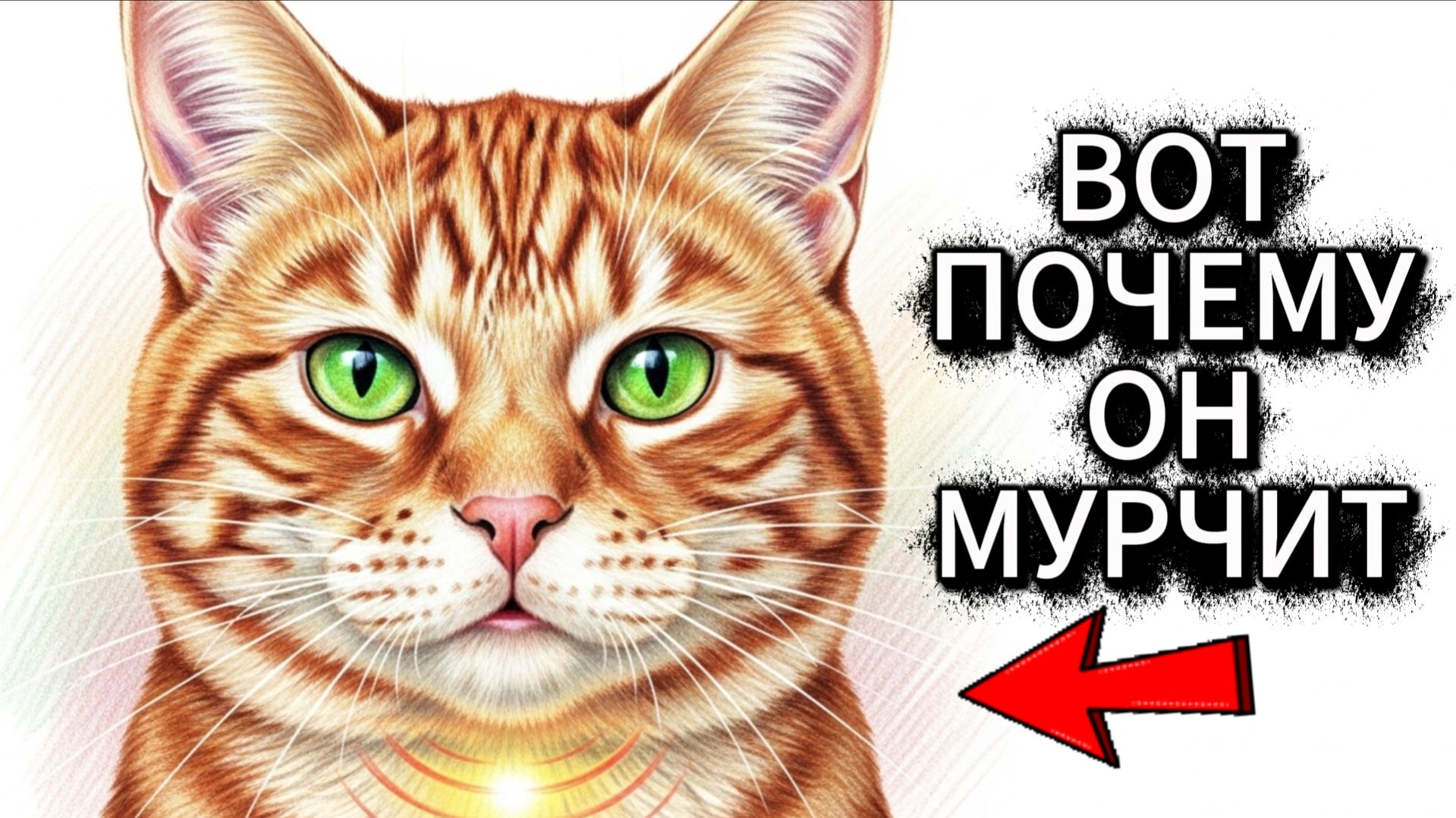 «5 скрытых причин, почему коты мурчат (это не всегда счастье)