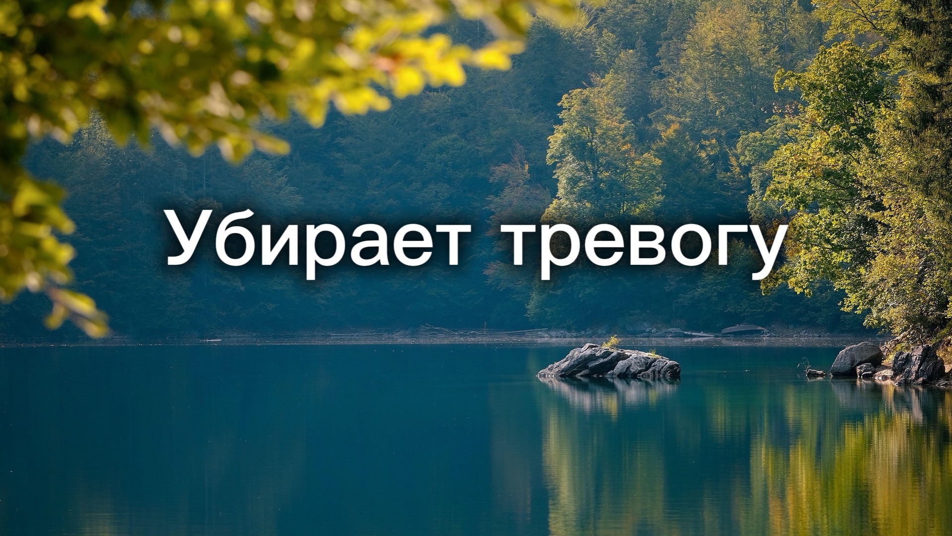 Шум водопада для сна и релакса🌊 | Звуки природы без музыки🌊🌿| 30 минут звуки воды ☘️🌊