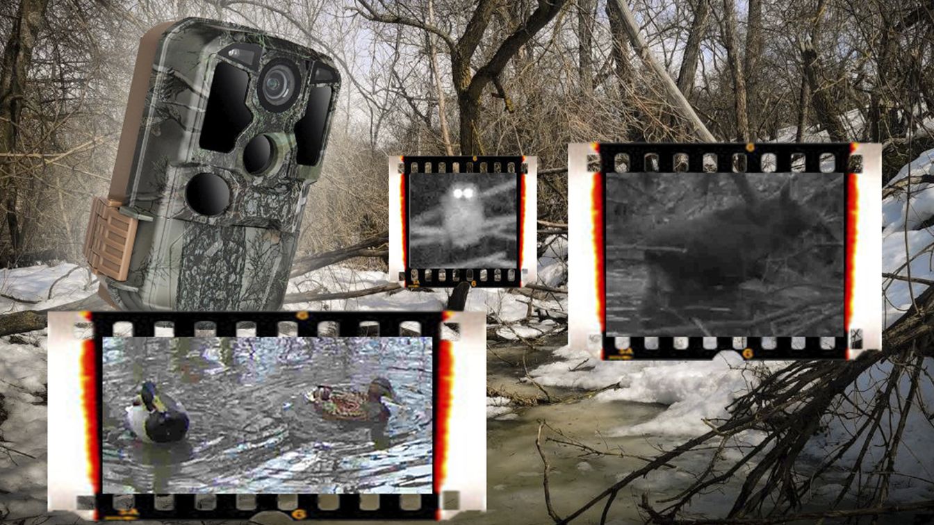 СЕЗОН 2026 ОТКРЫТ! 🚀 Первая проверка фотоловушек в лесу после зимы