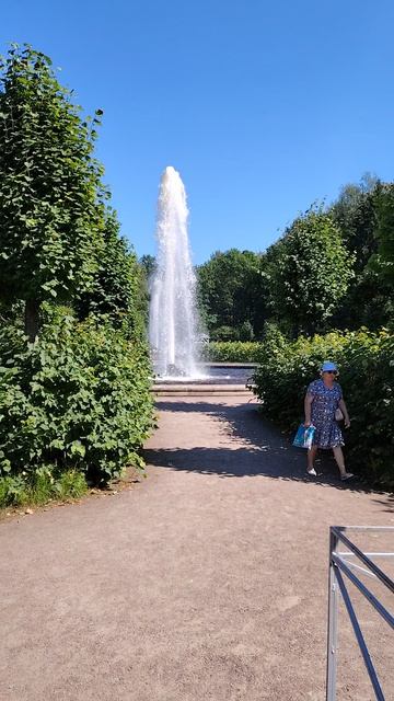 Петродворец. Менажерные фонтаны и Аллеи