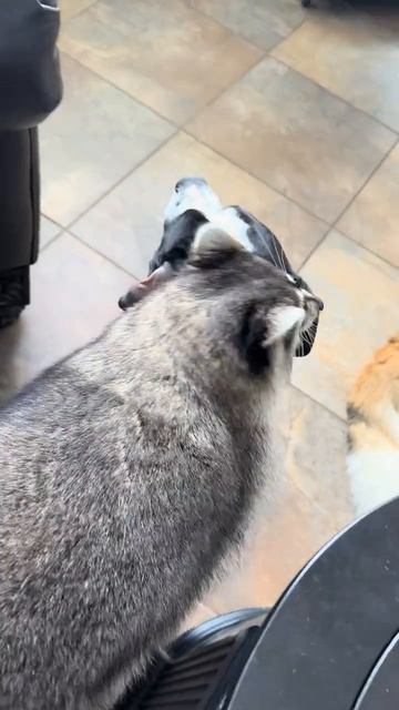 Лучшие друзья