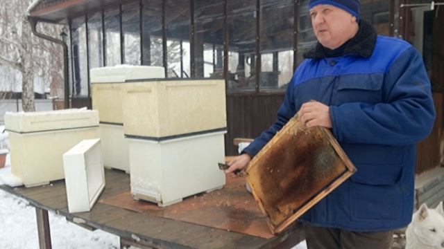 Подготовка испорченных сот для перетопки