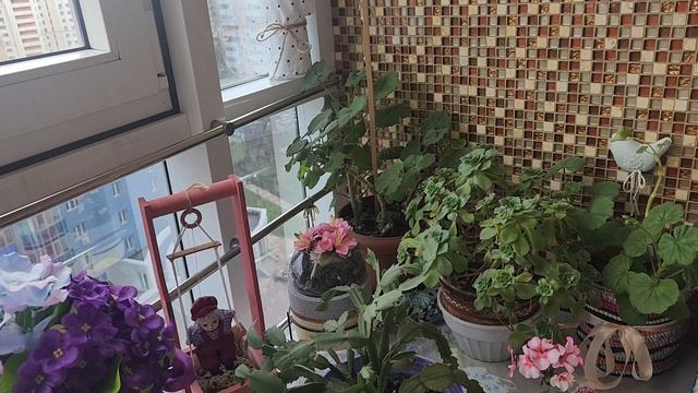 Что же на самом деле произошло? Украшение и озеленение общественного пространства за или против