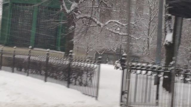 Опять по Питеру