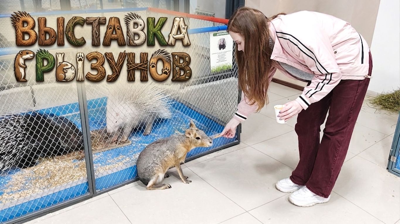 ВЫСТАВКА ГРЫЗУНОВ